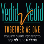 Yedid V Yedid : Chanukah Campaign
